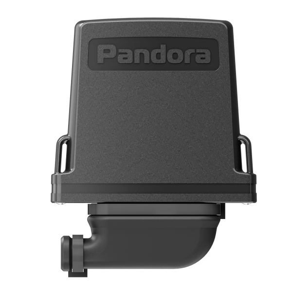 Pandora International