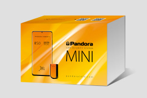 Pandora International